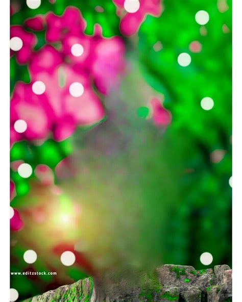 Bokeh Effect Cb Editing Background Imges