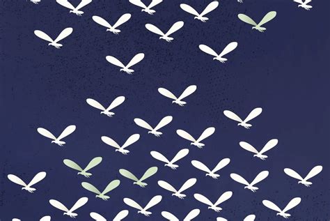 Flying Objects Font Youworkforthem