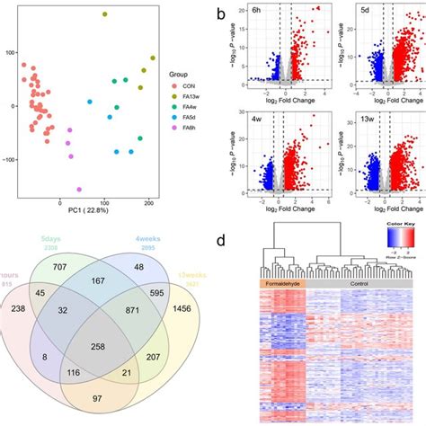 clustering patterns of transcriptomic profiles and degs identification