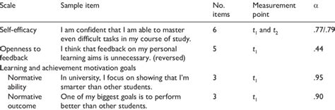 Sample Items And Scale Reliabilities Of Self Efficacy And Potential