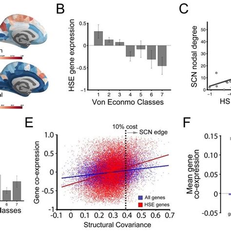 Nodal Topology And Connection Distance Of Structural Covariance Network Download Scientific