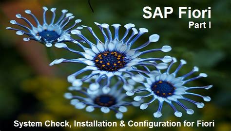 SAP Fiori Tutorial Part I System Check Installation And Configuration ERP Q A