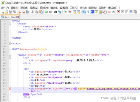 基于html文件的信息隐藏方法 html信息隐藏 csdn博客