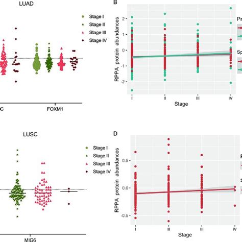 The Relationship Between Protein Biomarkers And Tumor Stage A