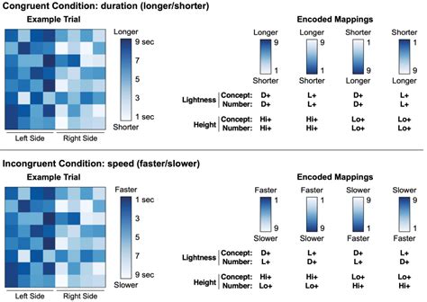 New Publication More Of What Dissociating Effects Of Conceptual And Numeric Mappings On