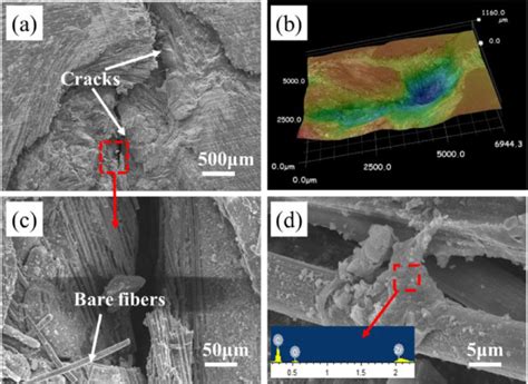 The Micro Morphologies Of Specimen Zc A Micro Morphology Of Download Scientific Diagram