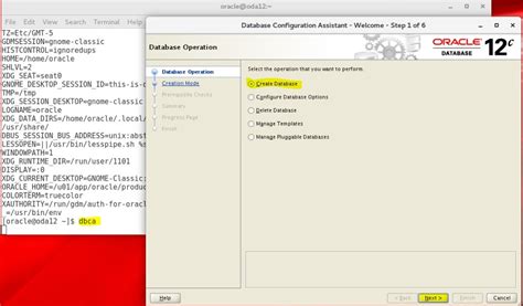 oracle application dba information
