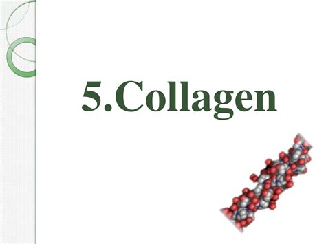 History And Collagen And Types Of Collagen Ppt Skin And Dermatology Diseases And Conditions