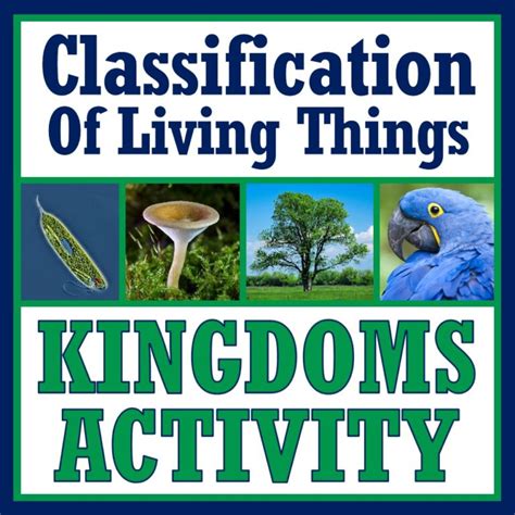 Classification Activity Eukaryotic Kingdoms Flying Colors Science