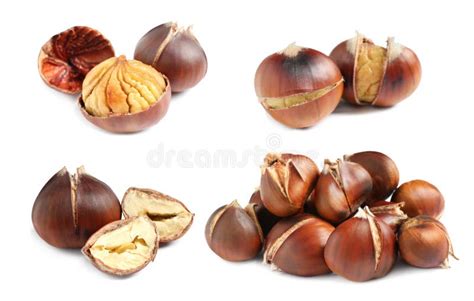 Set Of Sweet Roasted Edible Chestnuts Isolated On White Stock Image Image Of Delicious Cooked