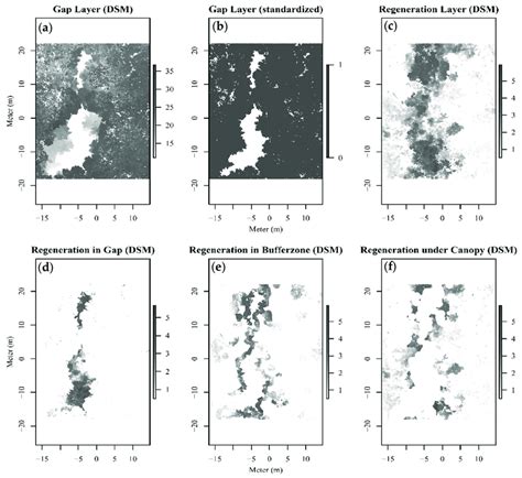 Exemplary Maps Of Horizontal Xy Cells Based On The Point Cloud Grid Download Scientific