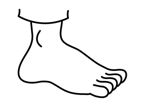 Coloring Page Of A Foot With A Clear Ankle And Five Toes