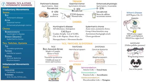 Aandp For Nurses Tremor Tics And Other Hyperkinetic Disorders Ditki Medical And Biological Sciences