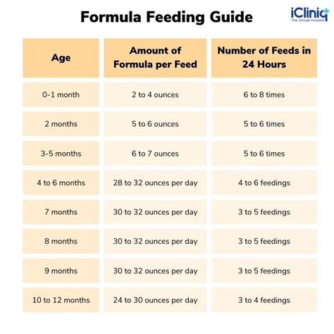 What Is The Guide For Formula Feeding