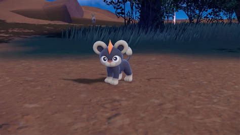 Where To Find Litleo And Pyroar In Pokemon Scarlet And Violet Dexerto