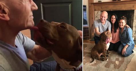 Sir Patrick Stewart Fosters A Pitbull Named Ginger