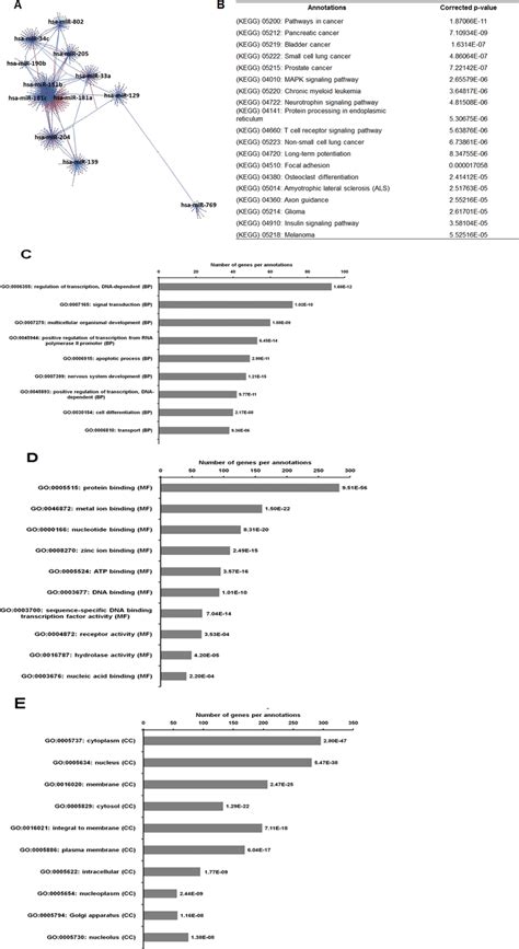 The Network Pathway Analysis And Functional Annotation By Go For Download Scientific Diagram