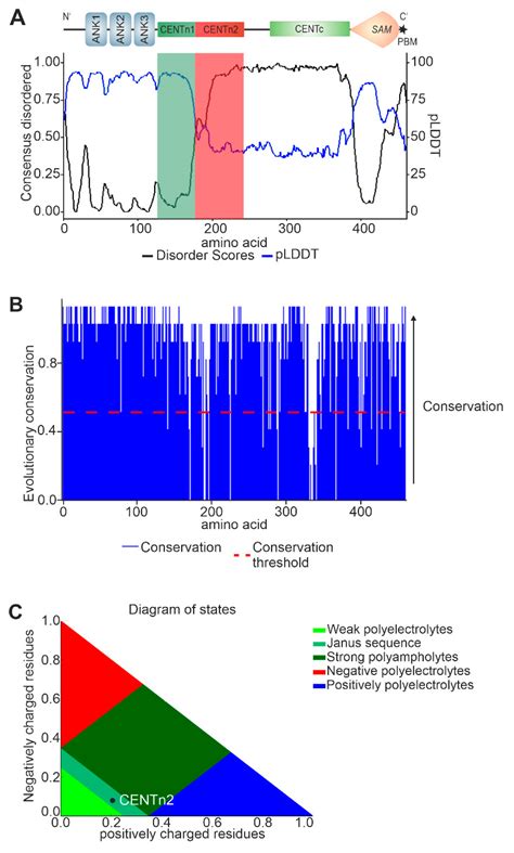 Pathogenic Variants In Ush1gsans Alter The Protein Interaction With