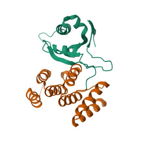 RCSB PDB IWB Crystal Structure Of Design Pentatricopeptide Repeat Complex With MORF Protein