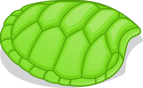 Turtle Shell Pattern ClipArt Best