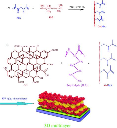 scheme of multilayer cell constructs using layer by layer assembly