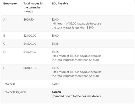 Skills Development Levy SDL