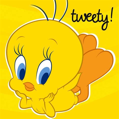 Pin On Tweety Bird