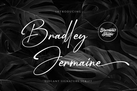 Bradley Jermaine Font Download Fonts