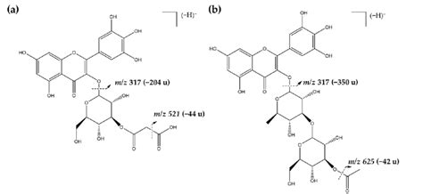 Mass Fragmentation Pattern For The Tentative Identification Of A