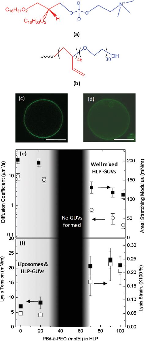 Figure 1 From Giant Phospholipid Block Copolymer Hybrid Vesicles Mixing Behavior And Domain