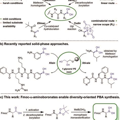 Strategies For The Synthesis Of Peptide Boronic Acids A Commonly Download Scientific Diagram