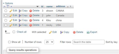 Update Query In Codeigniter Using Where Condition Multiple