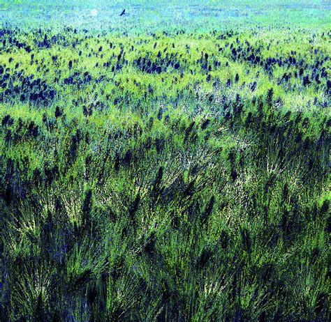 Windswept In Lime Green Digital Art By Paul Guerette Pixels