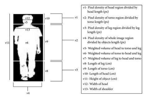 The Feature Set For Weight Computation Download Scientific Diagram