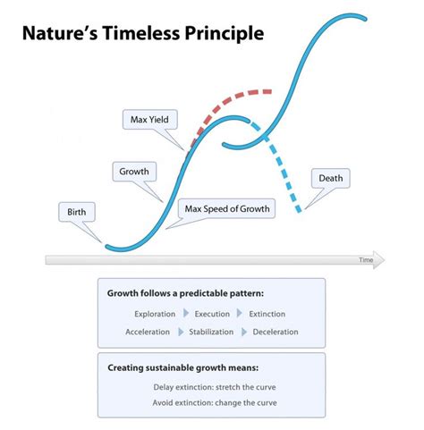 S Curve Business Growth Cycle Pattern Marketing Analysis Business