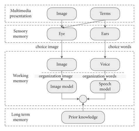 Cognitive Model Of Multimedia Learning Download Scientific Diagram