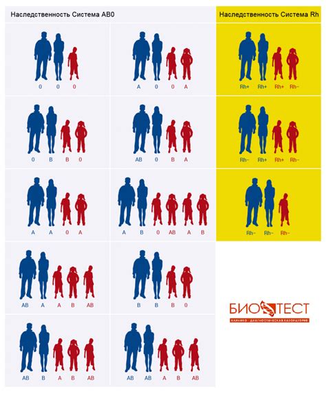 Таблица зачатия пола ребенка по возрасту матери и отца 2025