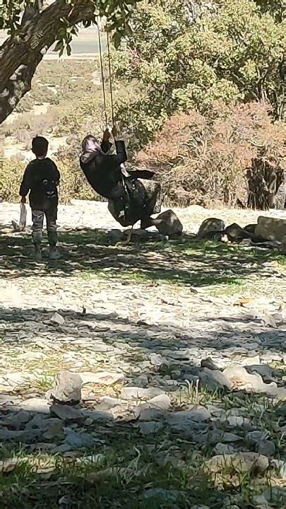 مادر بزرگنوه طبیعت گردیجنگل بلوط Youtube