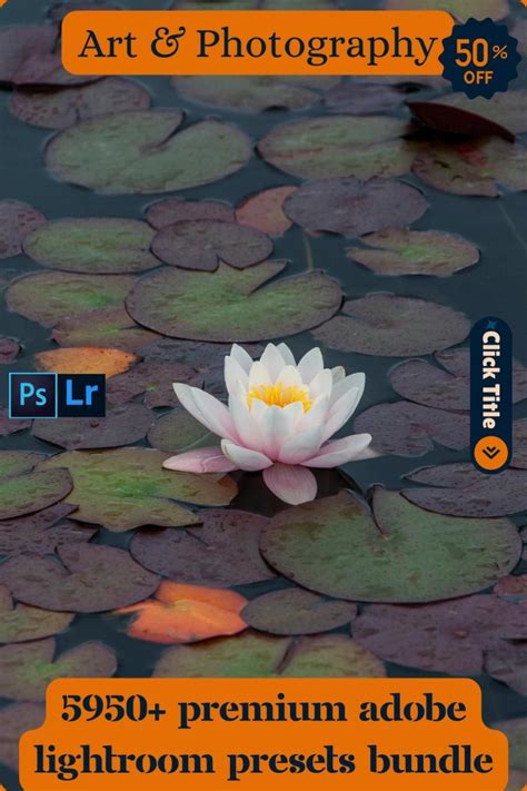 Artstation Houdini Tutorial Procedural Bush Plant In Unreal Engine 4 Resources By Radu Cius
