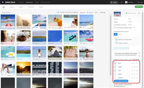 Use The Contributor Portal On Adobe Stock Adobe Learn Support Tutorials