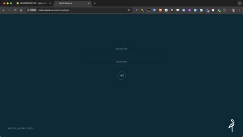 轻松管理反向代理：nginx Proxy Manager 详解