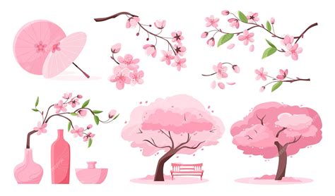 Premium Vector Hand Drawn Sakura Tree Set