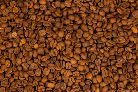 Can Seed Oils Lower Testosterone Seedoilnews