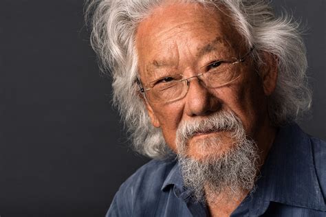 David Suzuki Wetlands Are Critical To Planetary Health And Indigenous