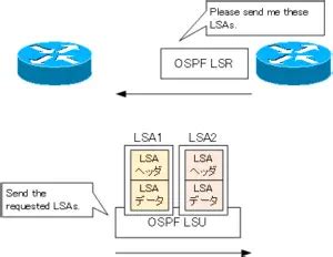 OSPF LSU Link State Update Packet How The OSPF Works N Study