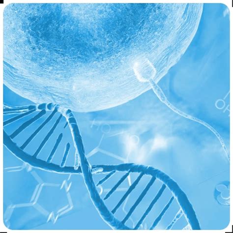 Sperm Dna Fragmentation Causes Treatment And Results