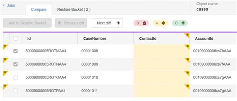 Automated Salesforce Backup And Restore In Depth Overview