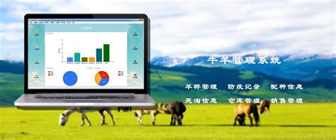 广州群希信息科技有限公司