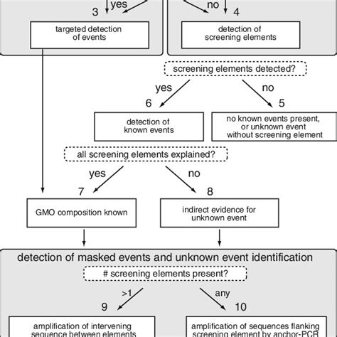 Schematic Representation Of Routine Gmo Detection Strategies