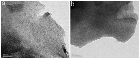 Nitrogen Doped Porous Carbon Supported Bimetallic Catalyst And